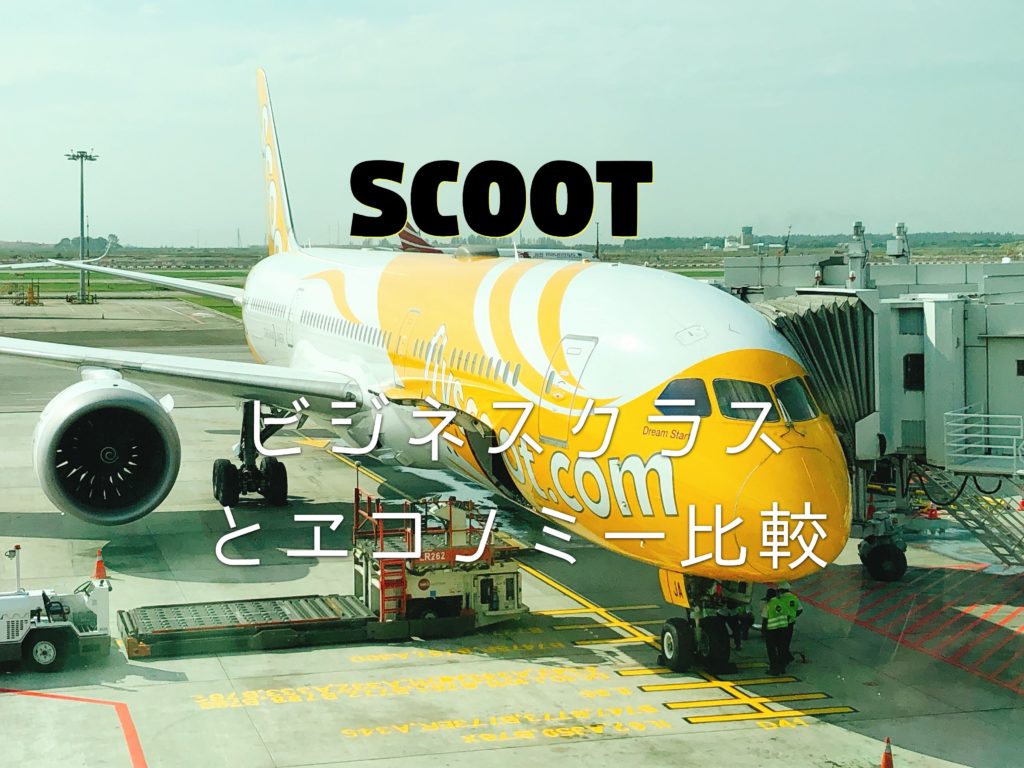 スクート(Scoot)のビジネスクラス(スクートビズ)とエコノミーの座席比較│感想レビュー